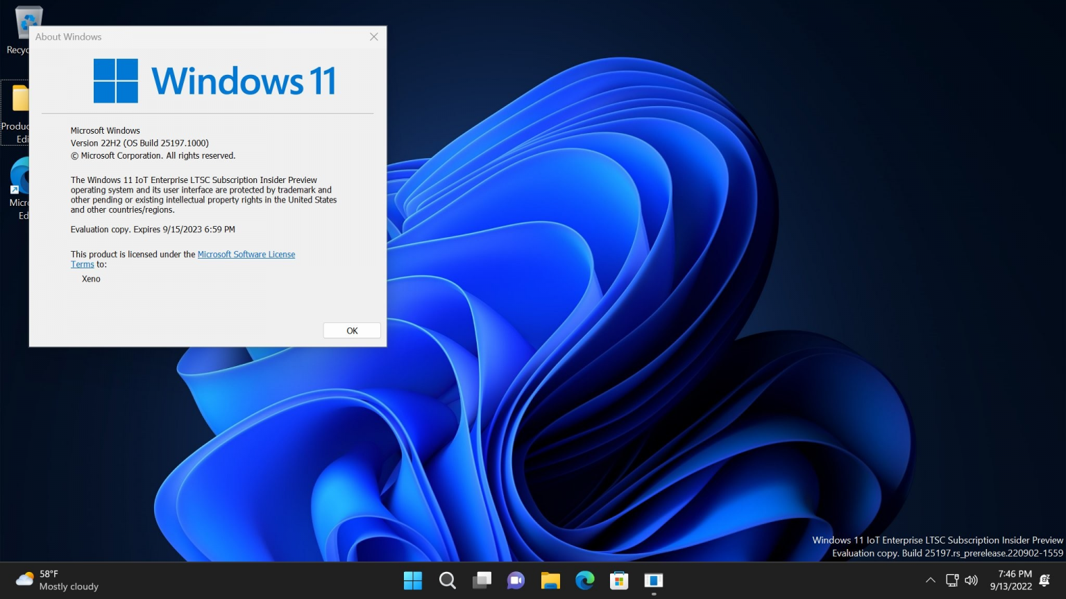 The Differences Between Windows 11 Pro and Windows 11 IoT
